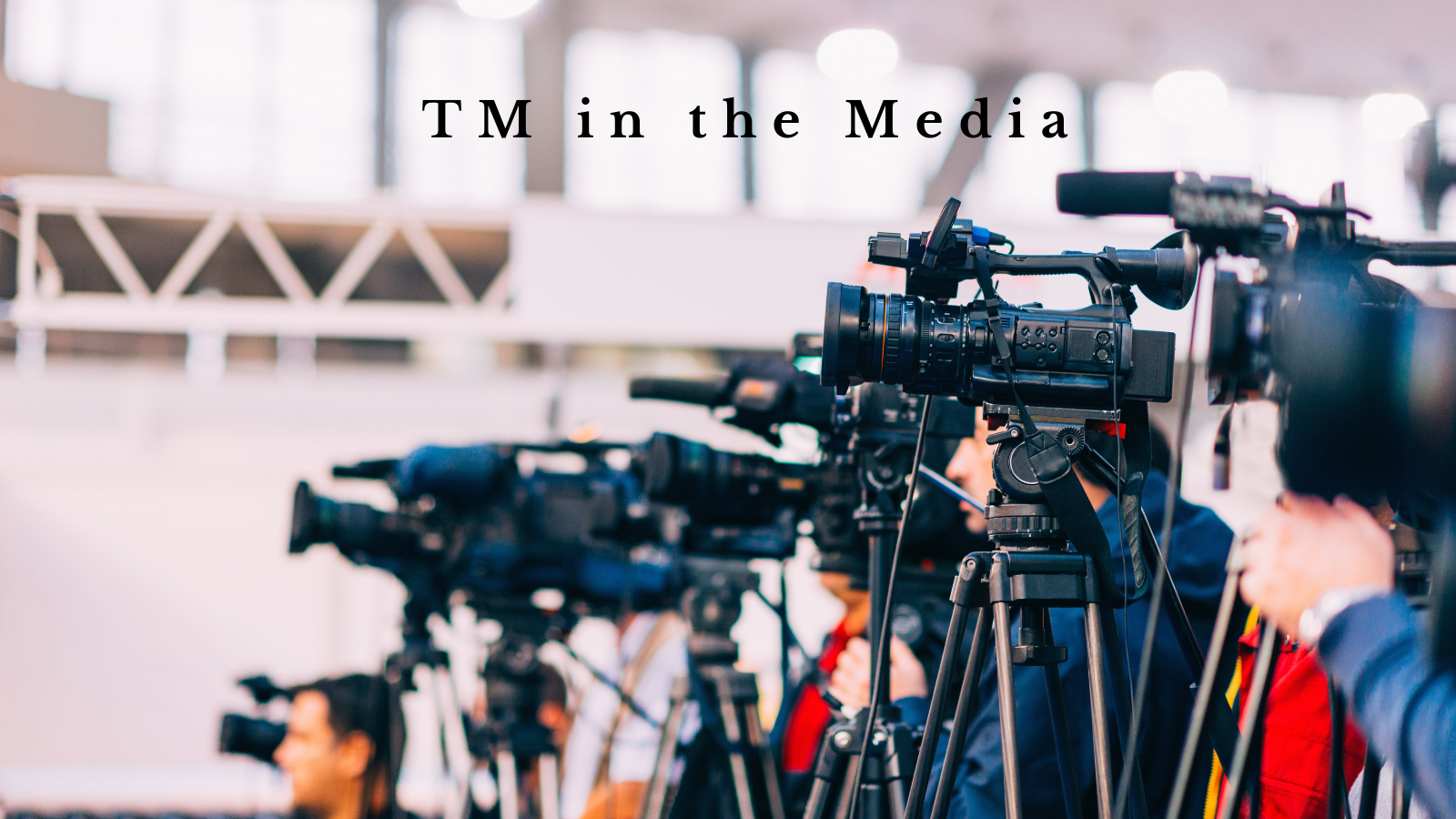 TM in the Media | The Traveller Movement